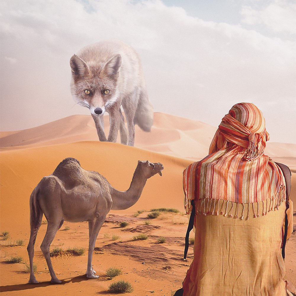 Fox in the desert by Nikugraphic on DeviantArt