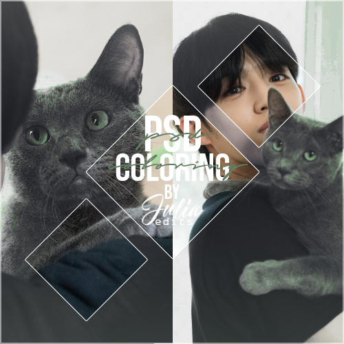 PSD.21 by julella on DeviantArt