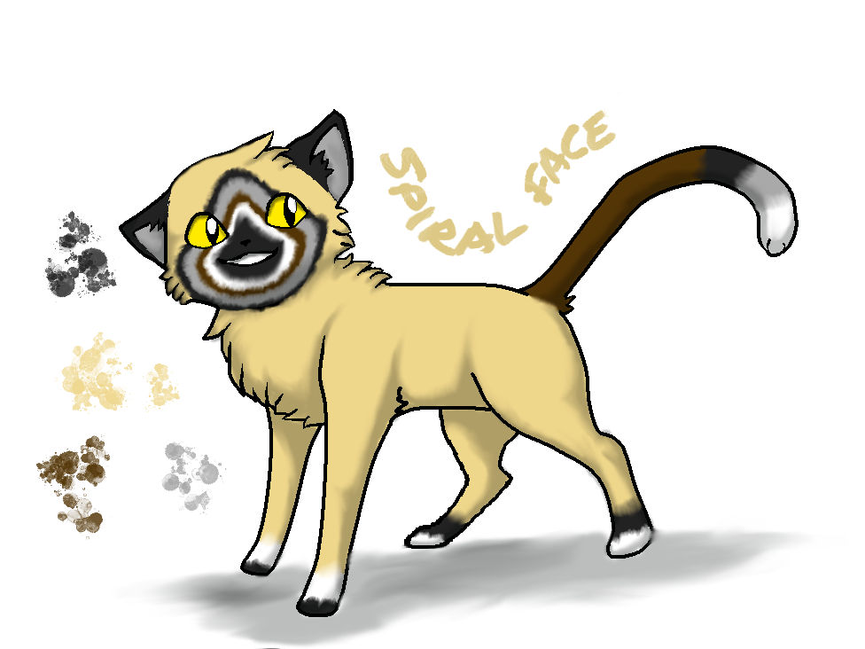 Spiral face by PentaGaleArts on DeviantArt