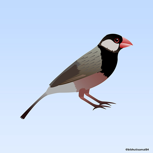 Vector PSD Bird Side View by bibhutisamal84 on DeviantArt