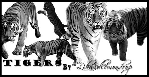 Tiger Brush Pack by LiTdesign on DeviantArt