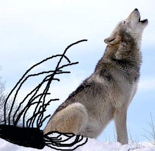 wolf She Venom transformations 1 by She-Venom-1 on DeviantArt