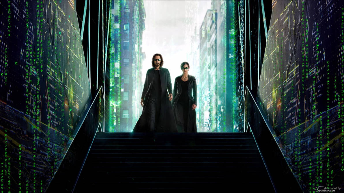 The Matrix Resurrections Live Wallpaper by Favorisxp on DeviantArt