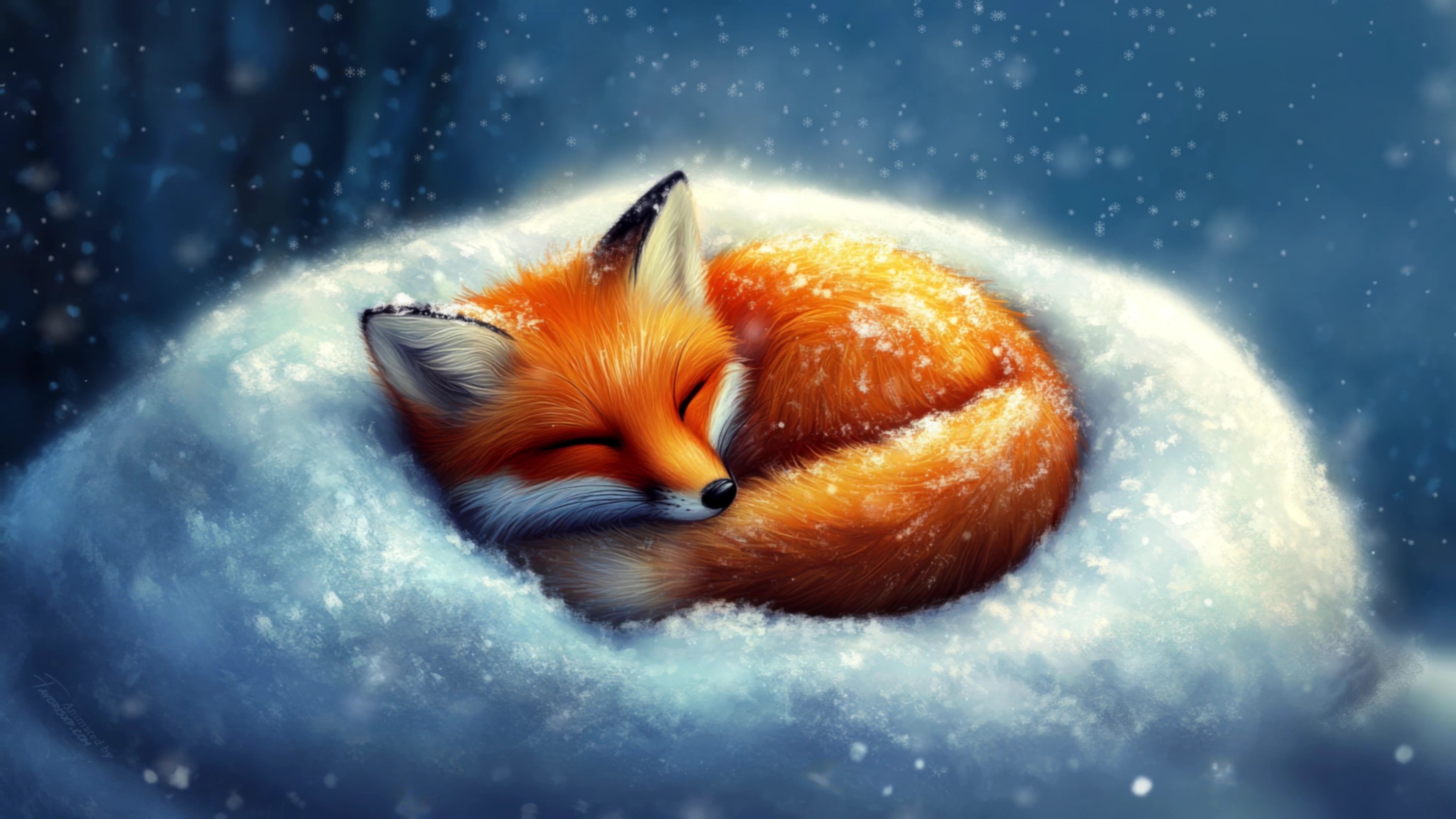 Cute sleeping fox Animated Wallpaper by Favorisxp on DeviantArt