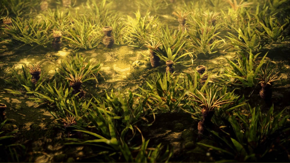 UnderWaterGrass by BillCarl8 on DeviantArt