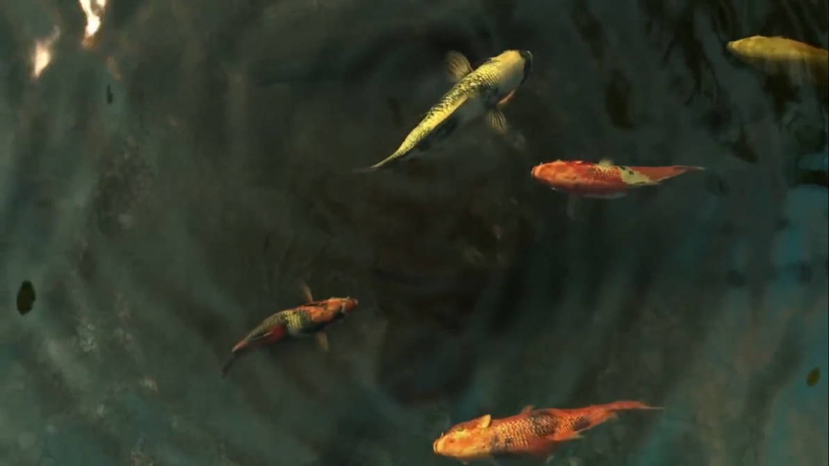 Kio Pond by BillCarl8 on DeviantArt