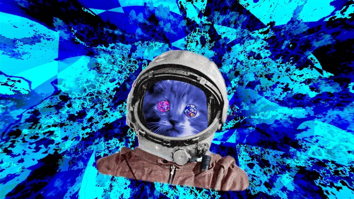Spacecat by Filin441 on DeviantArt