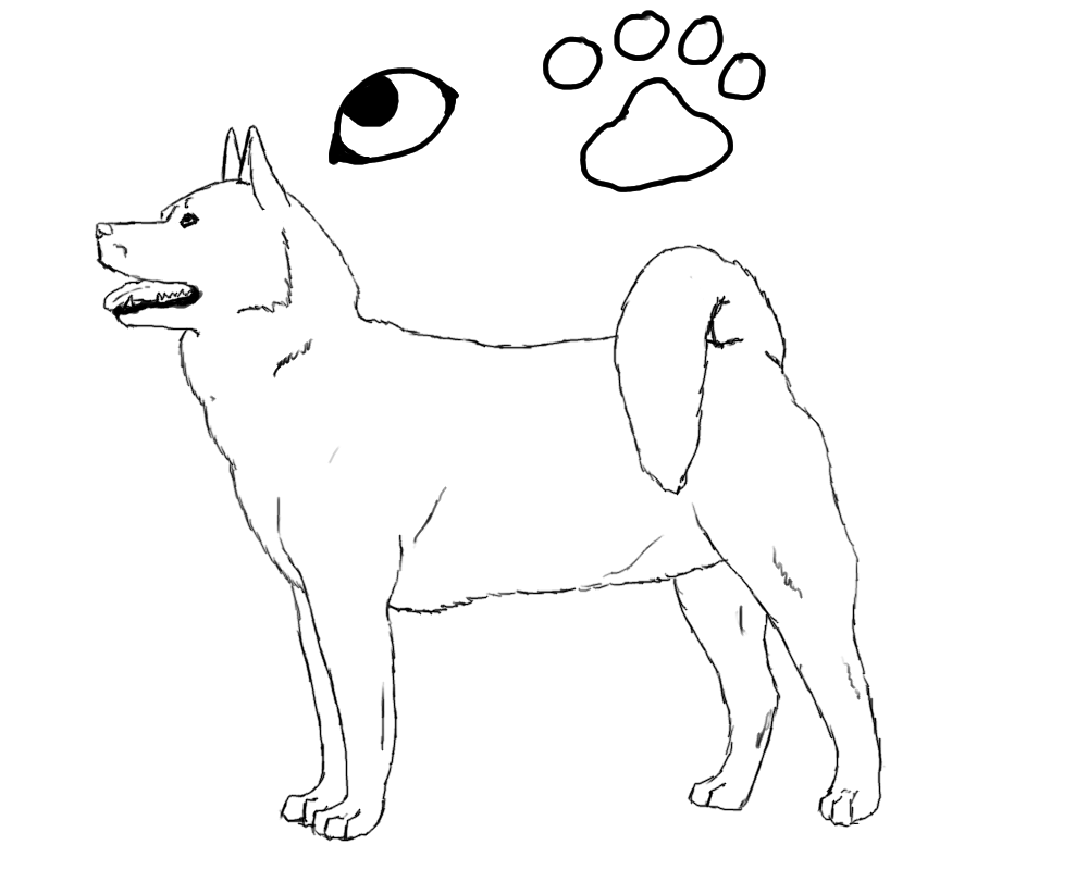 Akita Lines Free Use by Matsi-Doodles on DeviantArt