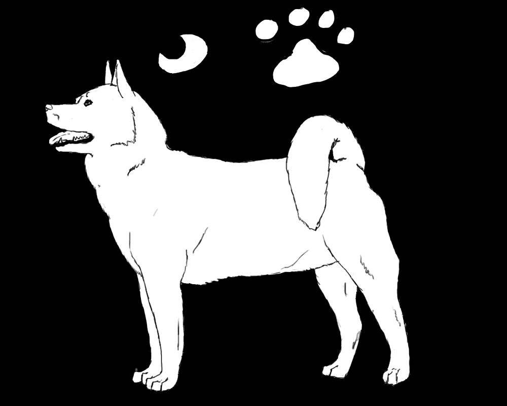 Akita Lines Free Use by Matsi-Doodles on DeviantArt