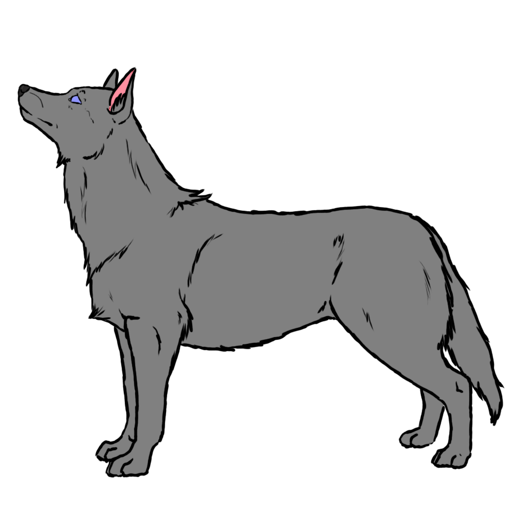 Husky Base - Pay to use - 30pts by Matsi-Doodles on DeviantArt