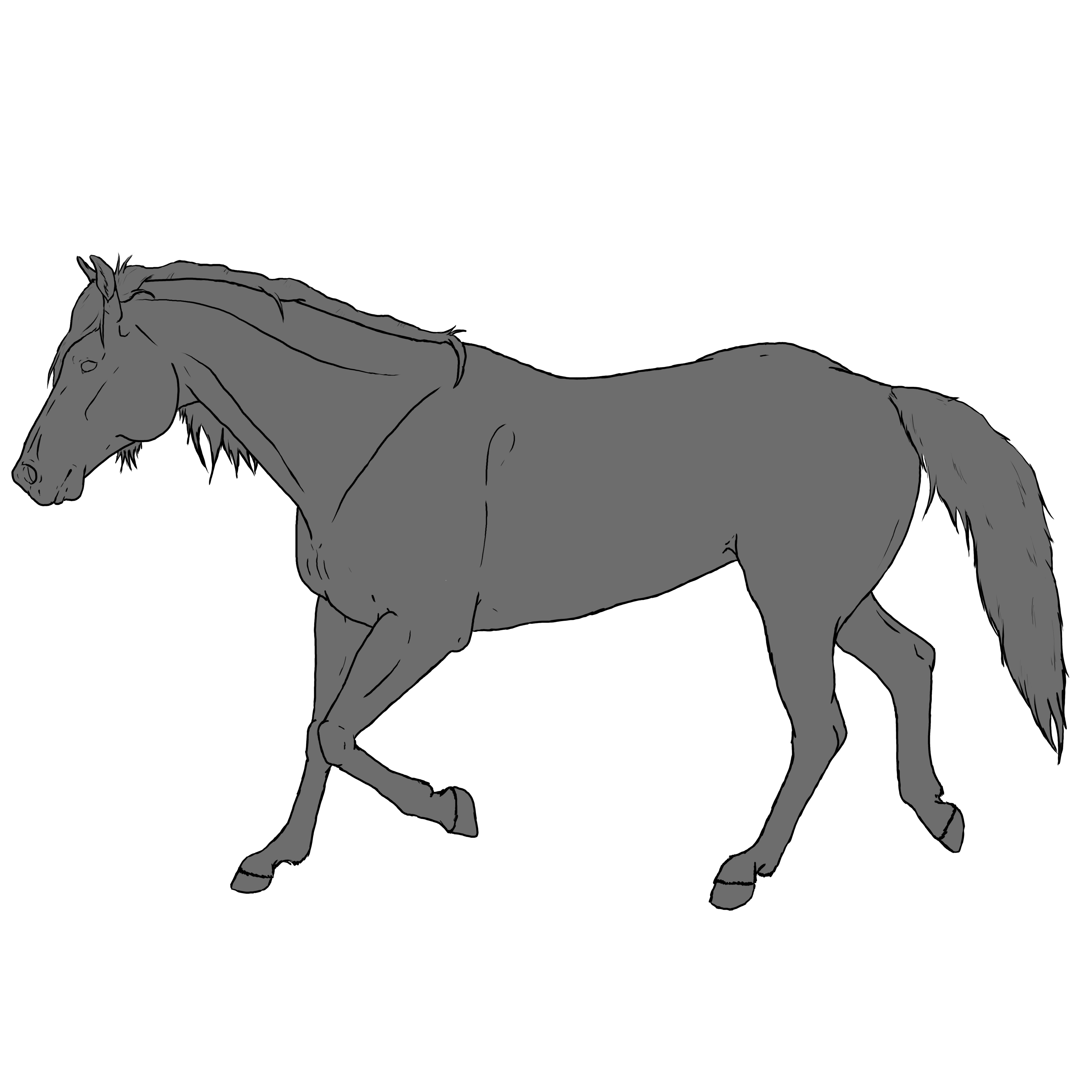 Stock horse Base - P2u by Matsi-Doodles on DeviantArt