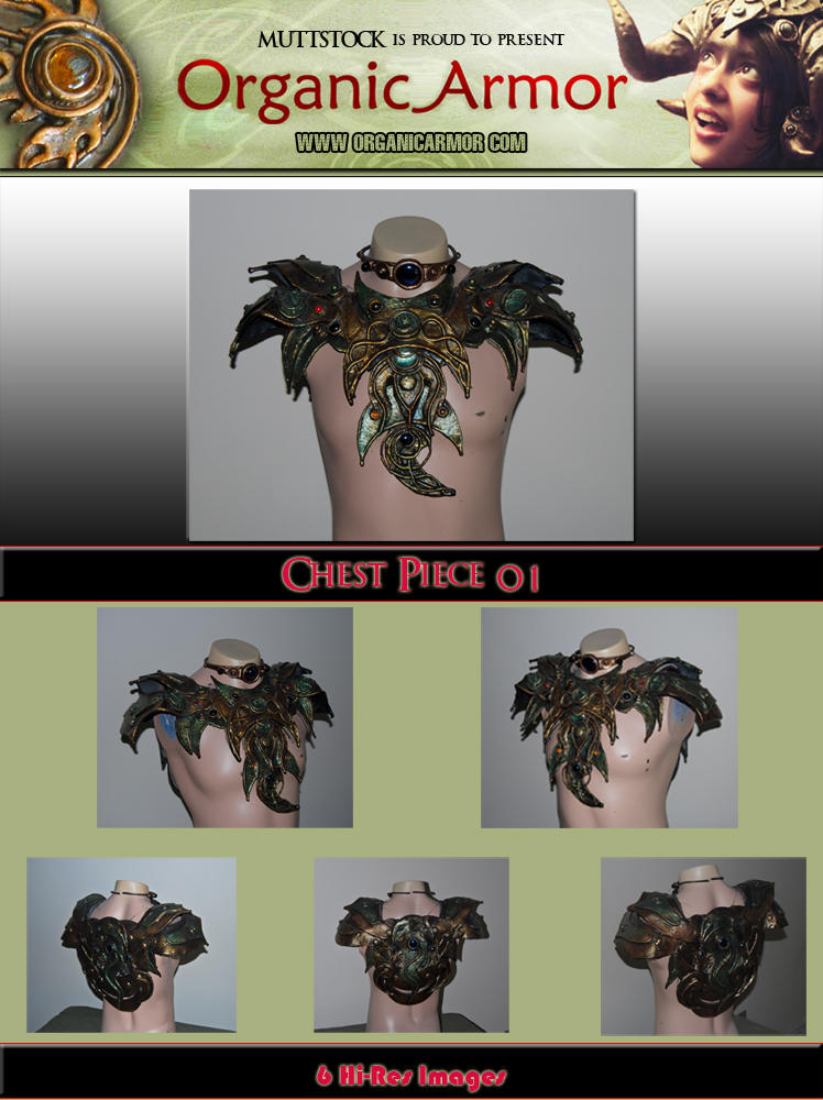 OA Chest Piece 01 by Muttstock on DeviantArt