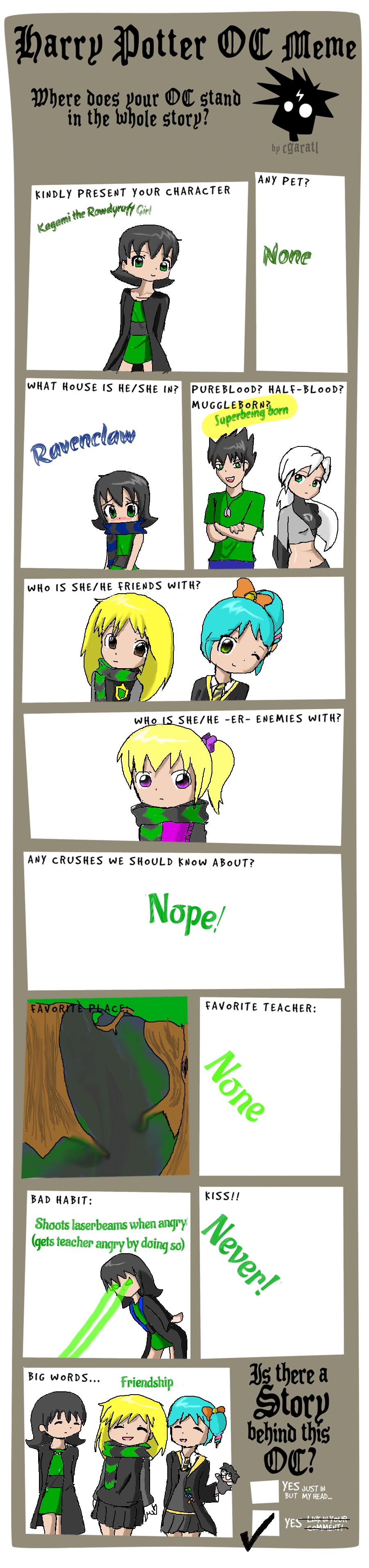 Harry Potta OC Meme by KaoruBlackstone1 on DeviantArt