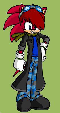 John the Hedgehog char Bio by SilverKitsune2 on DeviantArt