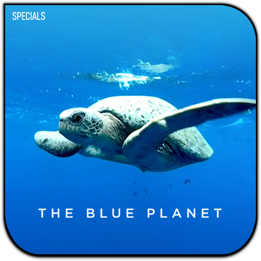 The Blue Planet (2001) - Specials by corky608 on DeviantArt