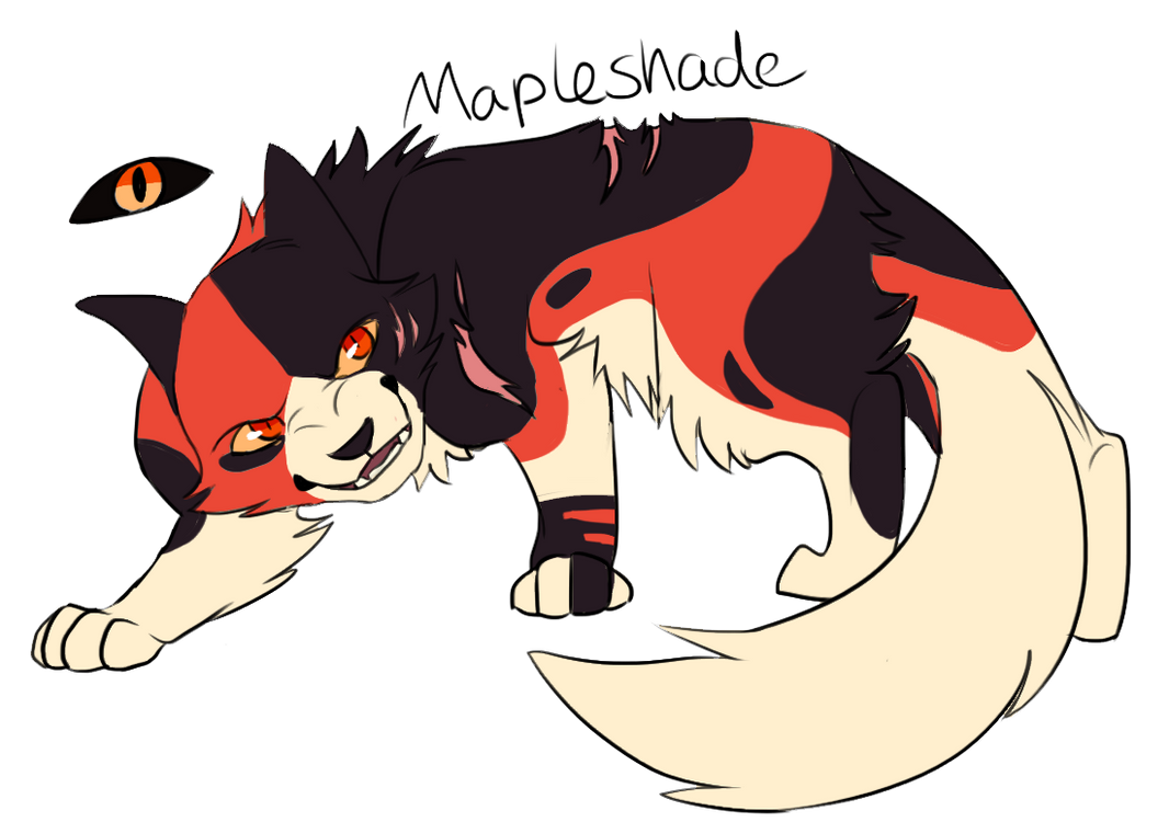 Mapleshade by Owlsparky on DeviantArt