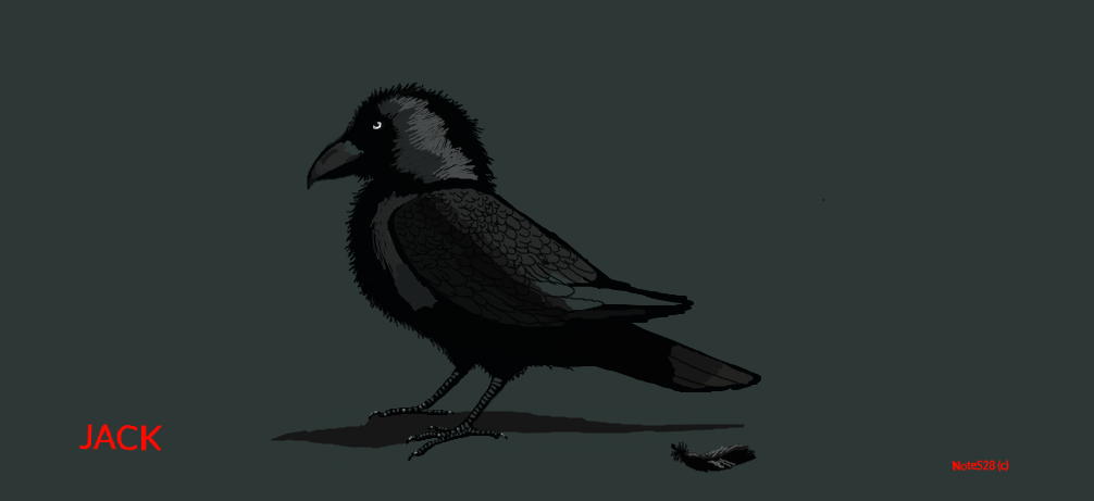 Jack by NoteS28 on DeviantArt