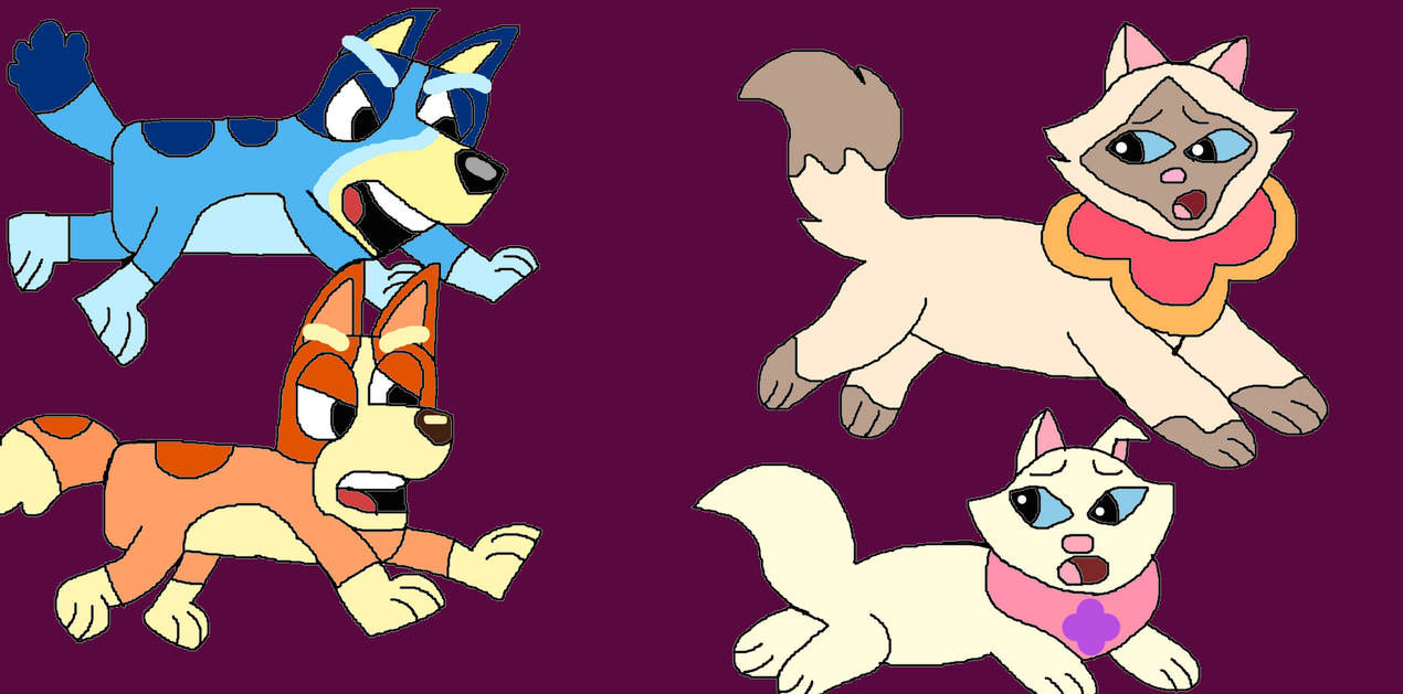 The Cat And Dog Chase by FurryJori on DeviantArt