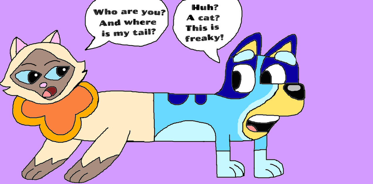 Chinese Australian CatDog by FurryJori on DeviantArt