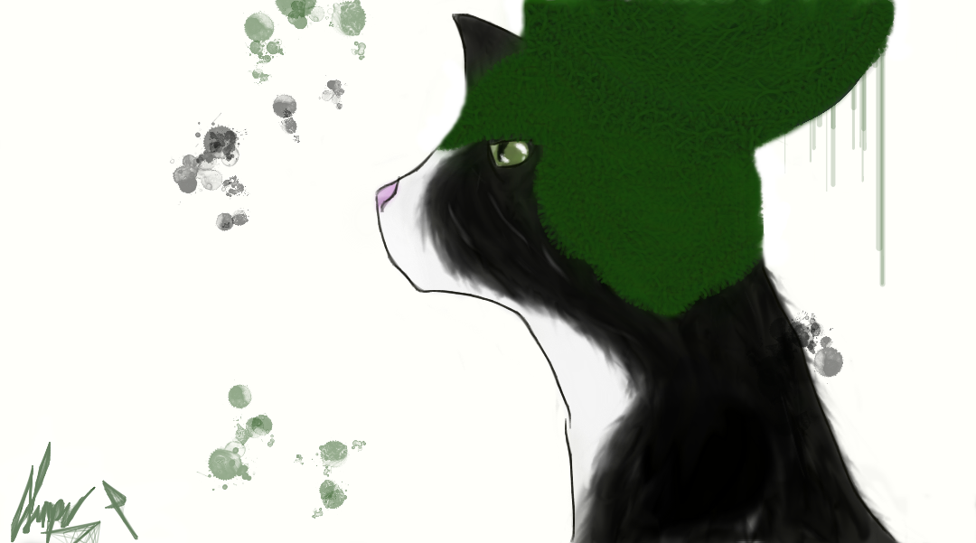 Meowingtons by DevaintShadows on DeviantArt