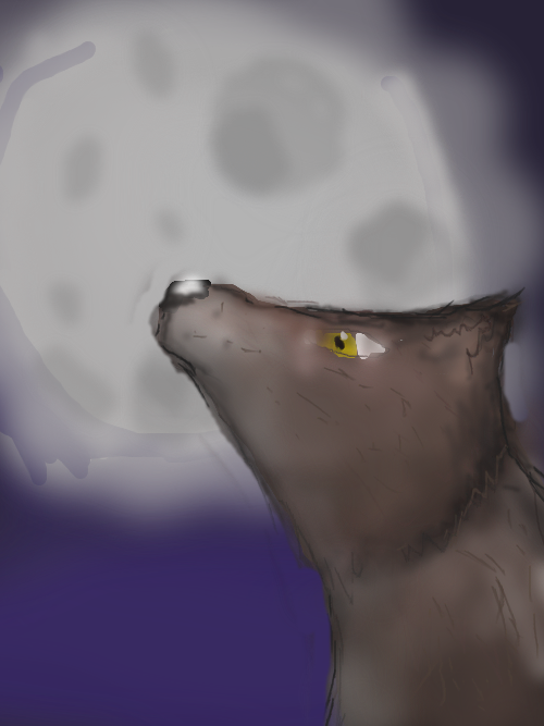 wolf moon by WiegerKeulen on DeviantArt