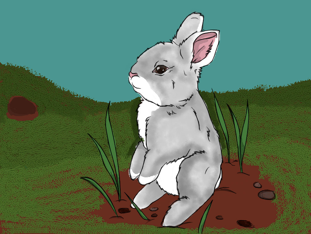 Bunny by TheCrownJeweller on DeviantArt