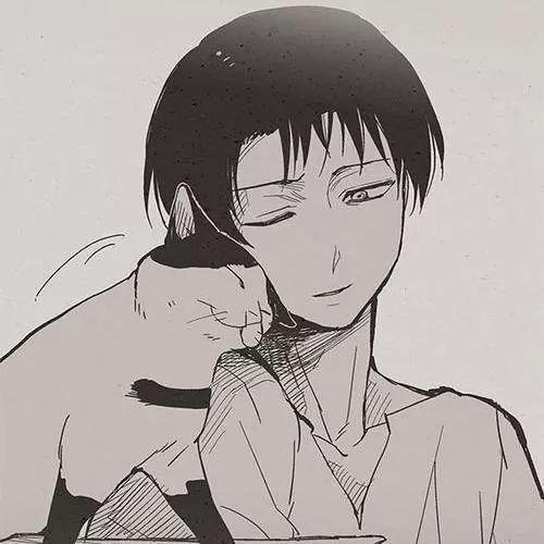 Just Your Luck Levi Ackerman X Reader By Angiehimesan On Deviantart