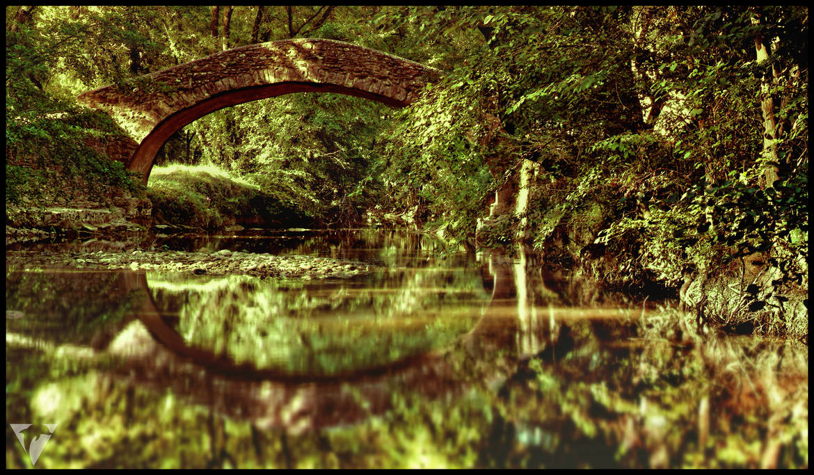 ABSIDA [Dolphin By Default] by DolphinByDefault on DeviantArt