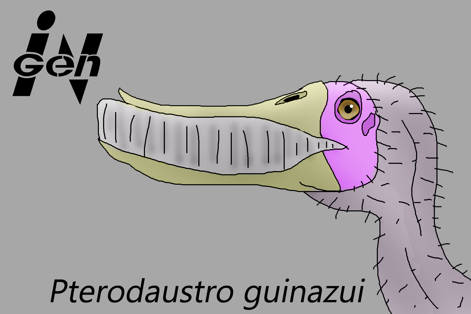 JP Pterodaustro by PaleoCheckers on DeviantArt