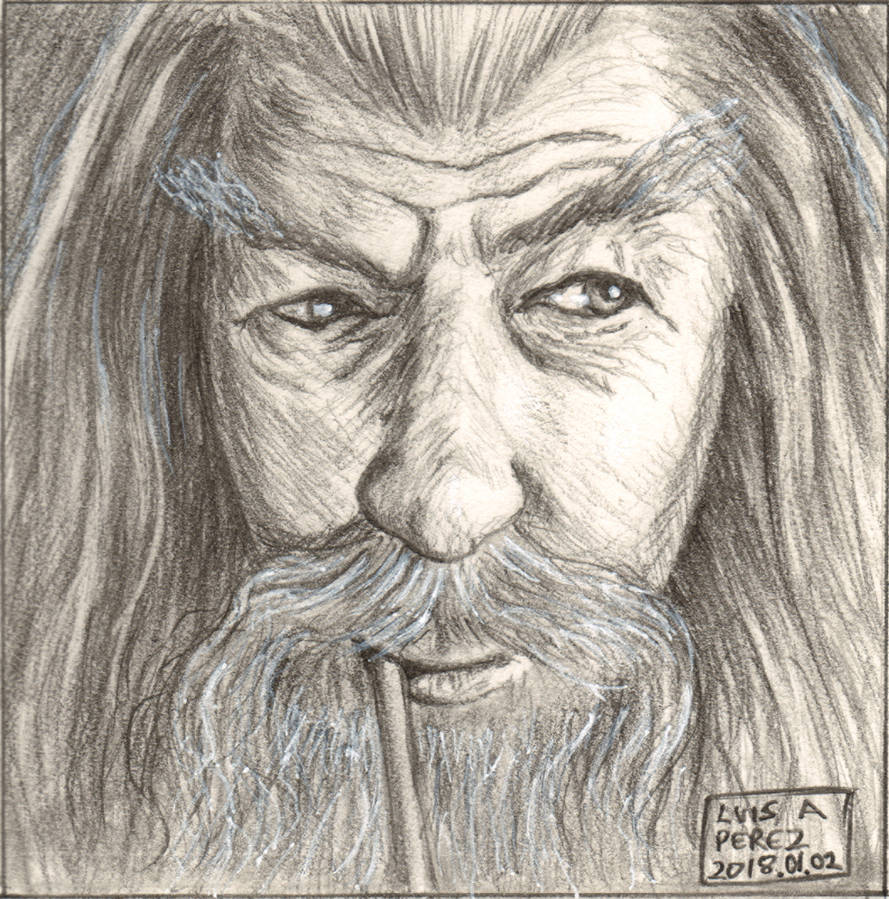 Gandalf - Daily Drawing 2018. by luisperezart on DeviantArt