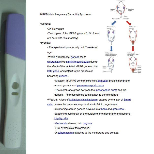 MPREG Science by midna-fanatic on DeviantArt