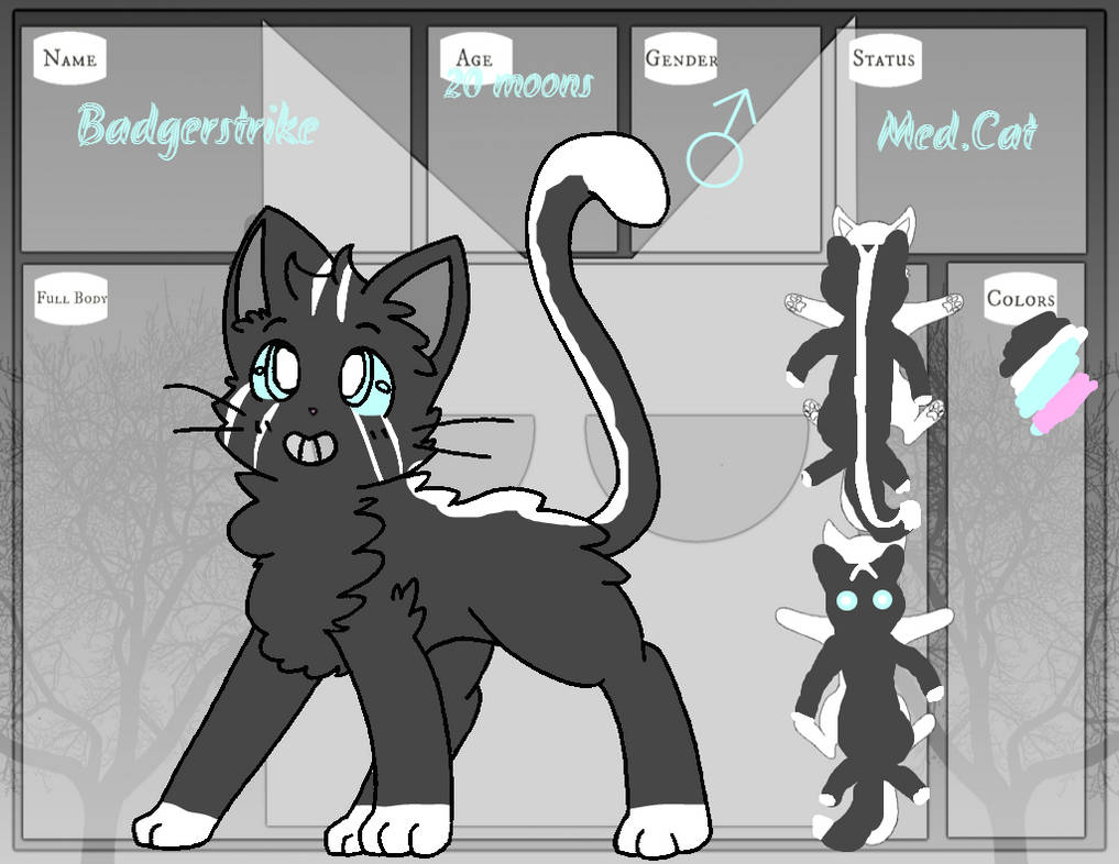 Badgerstrike Application by dem0nself on DeviantArt