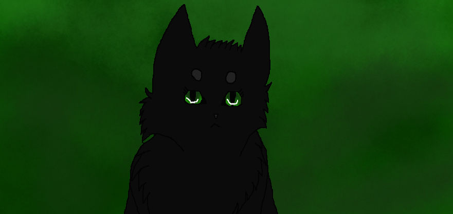 Pic for Hollyleaf MAP by ThrorneArtist on DeviantArt