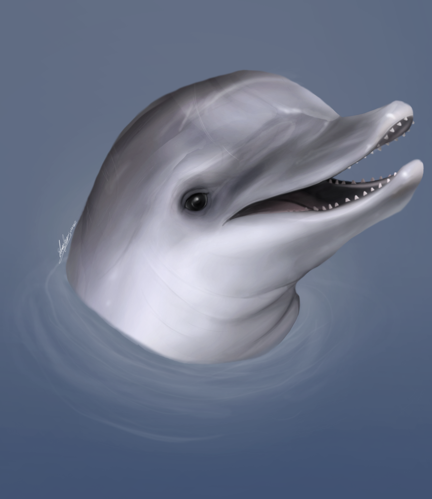 Dolphin by LukeFitzsimons on DeviantArt