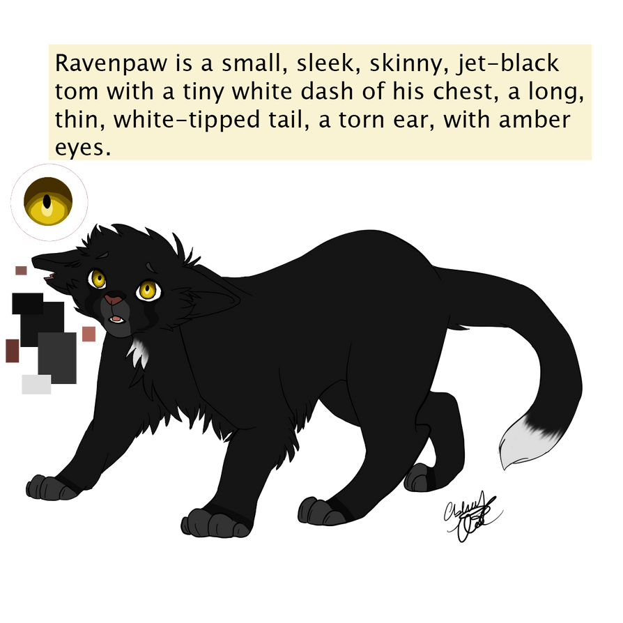 Ravenpaw by PureSpiritFlower on DeviantArt