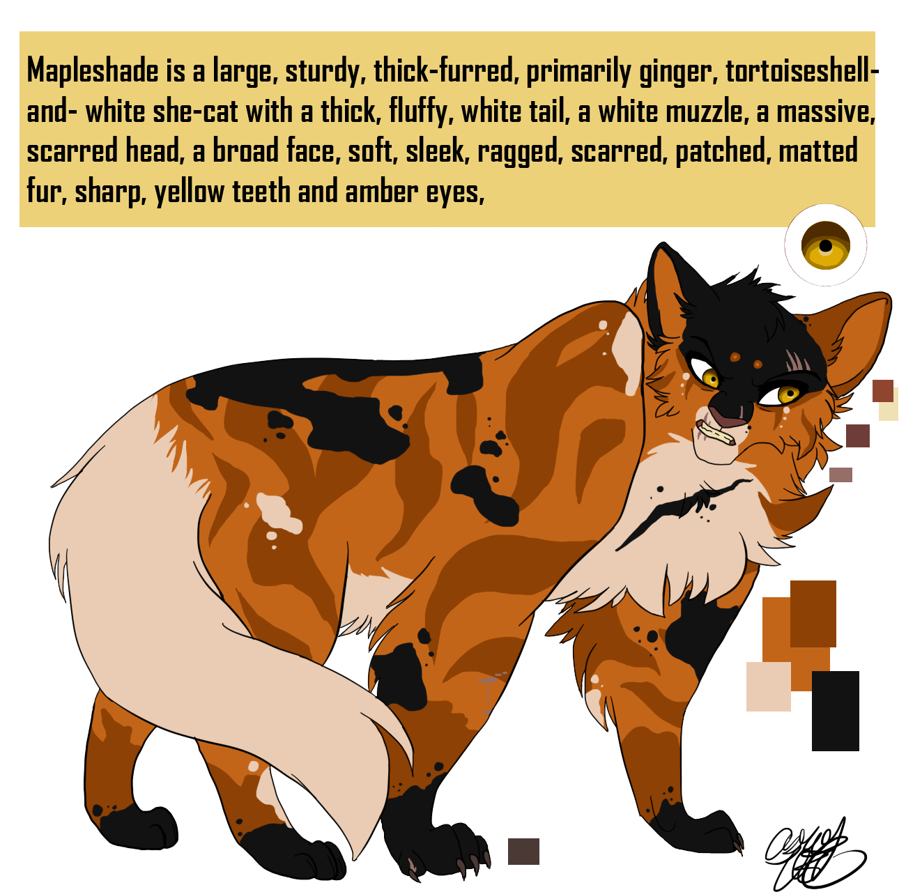 Mapleshade by PureSpiritFlower on DeviantArt