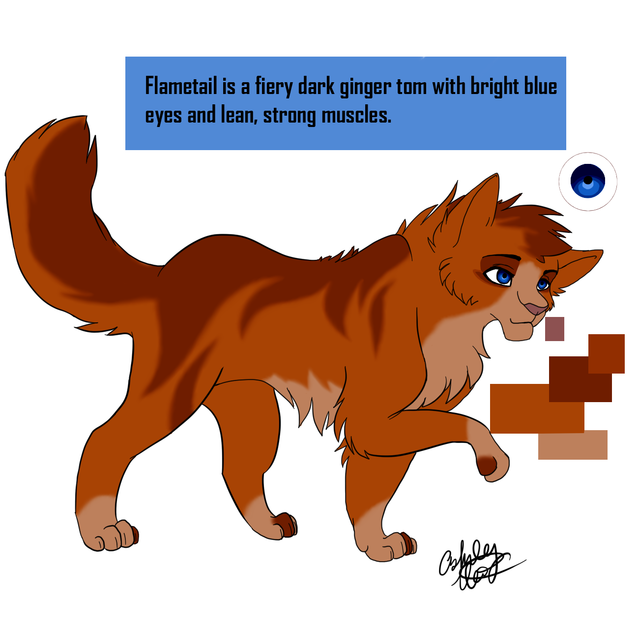 Flametail by PureSpiritFlower on DeviantArt