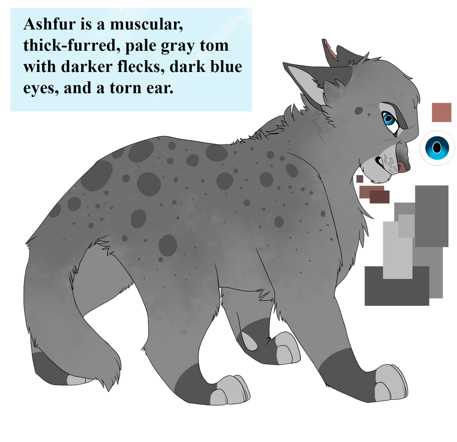 Ashfur by PureSpiritFlower on DeviantArt