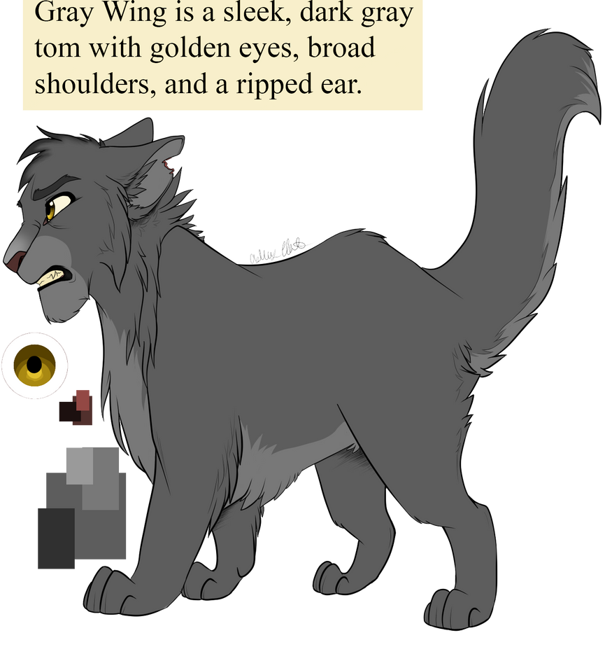 Gray Wing by PureSpiritFlower on DeviantArt