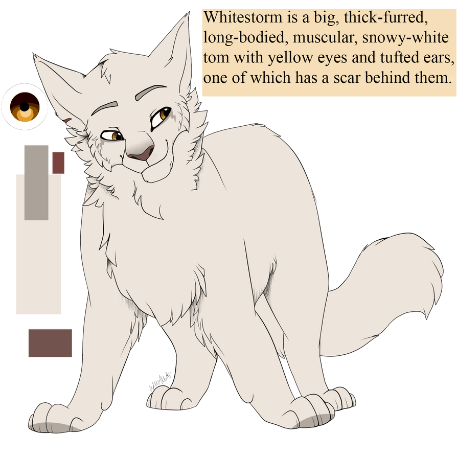 Whitestorm by PureSpiritFlower on DeviantArt