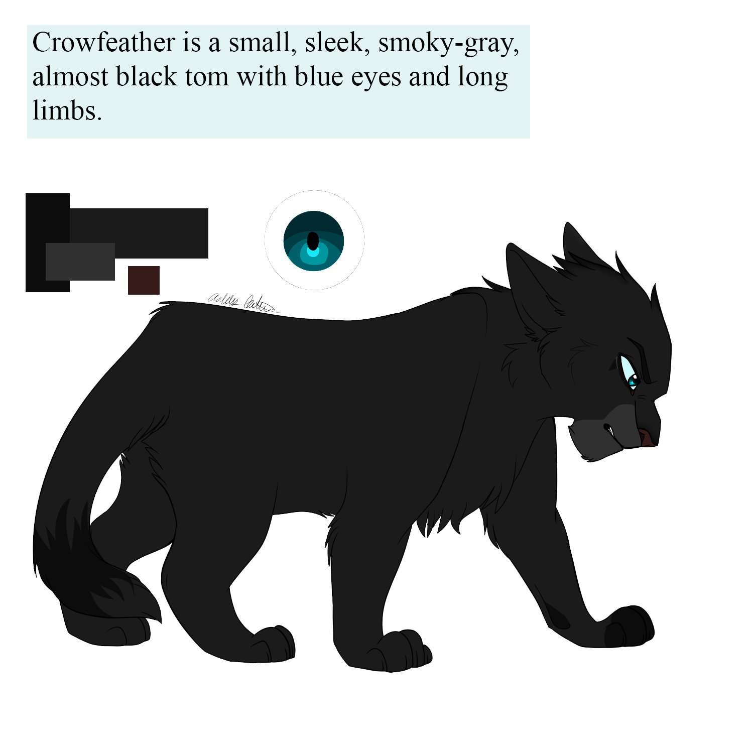Crowfeather by PureSpiritFlower on DeviantArt