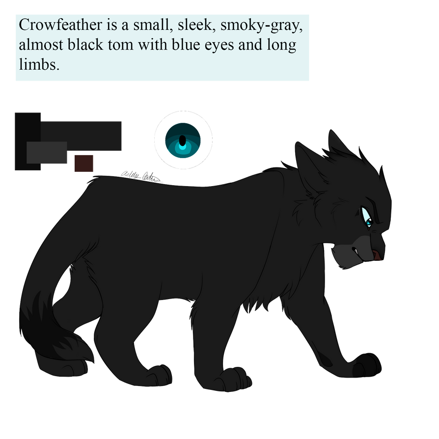 Crowfeather by PureSpiritFlower on DeviantArt