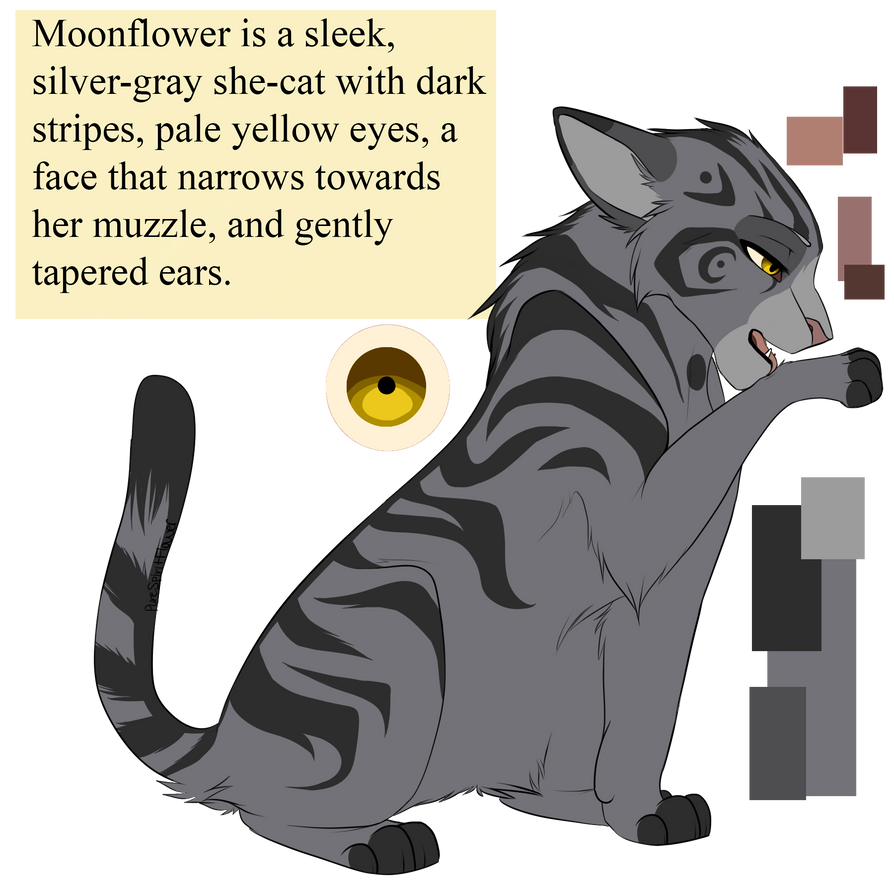 Moonflower by PureSpiritFlower on DeviantArt