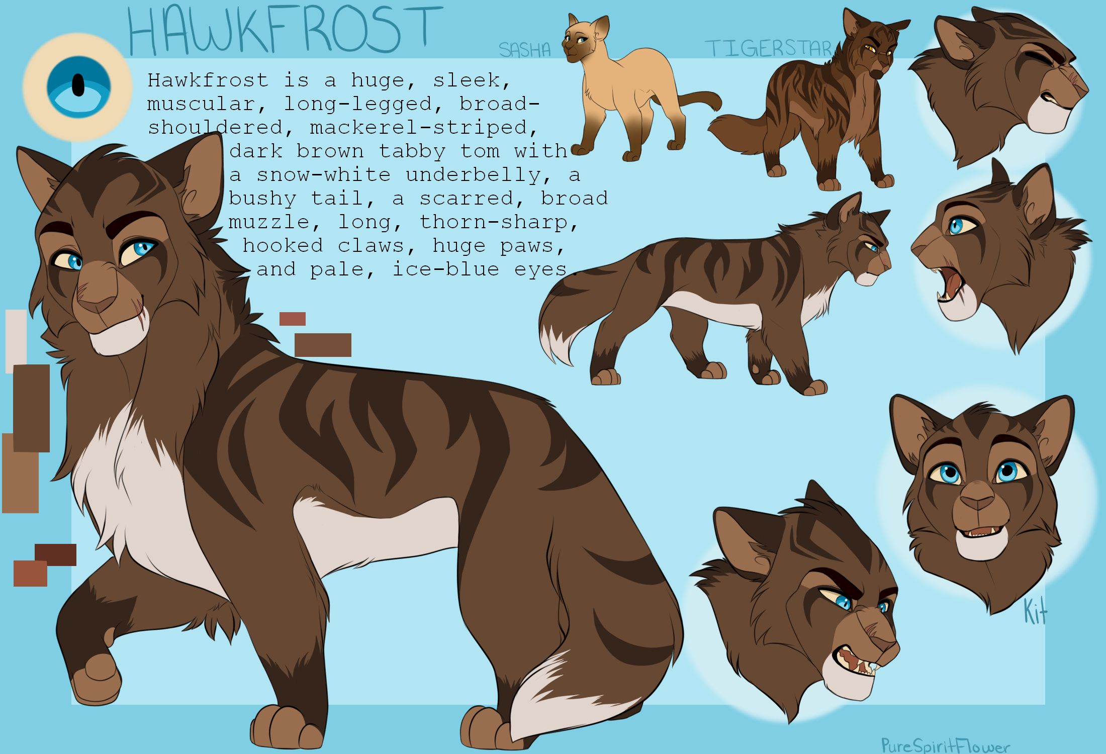 Hawkfrost by PureSpiritFlower on DeviantArt