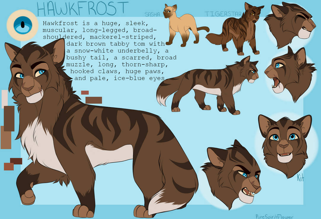 Hawkfrost by PureSpiritFlower on DeviantArt