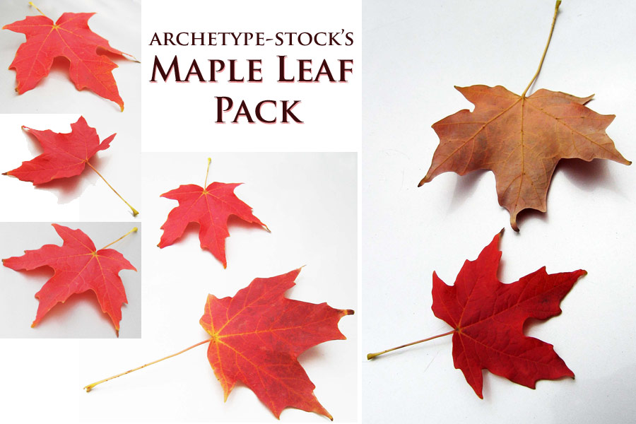 Maple Leaf Pack by archetype-stock on DeviantArt