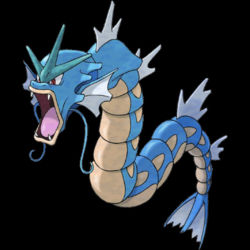 Pokemon Profile: Gyarados by J-J-Knight on DeviantArt
