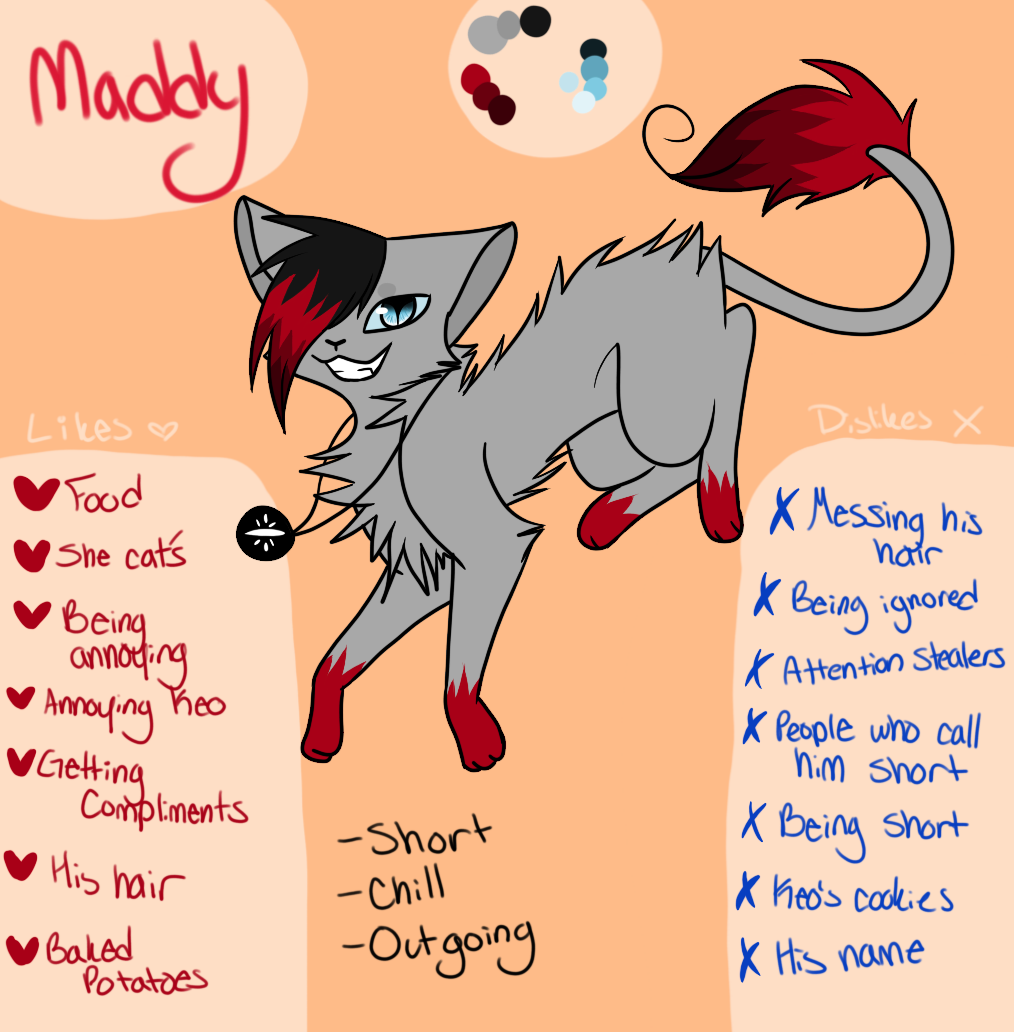 Maddy Ref Sheet By Kittydoodles02 On Deviantart