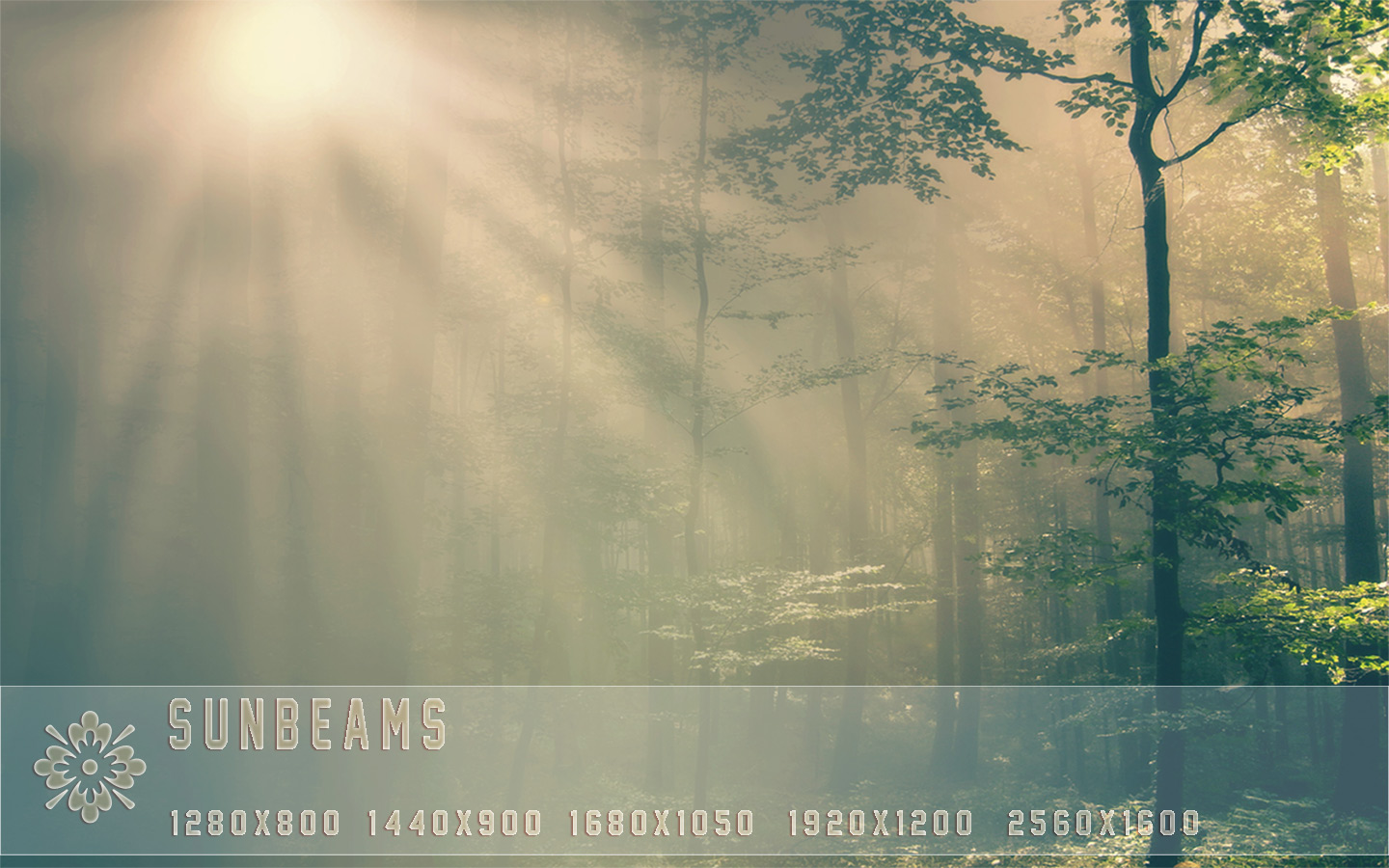 Sunbeams Wallpaper by Barbieri49Stock on DeviantArt