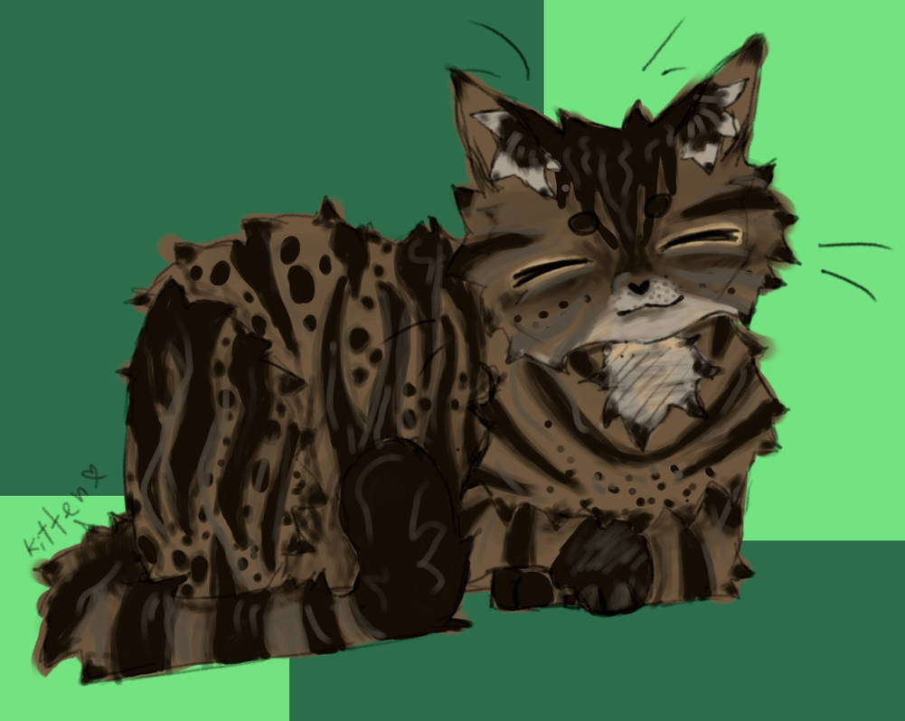 Catto AT 2 by velkarni on DeviantArt